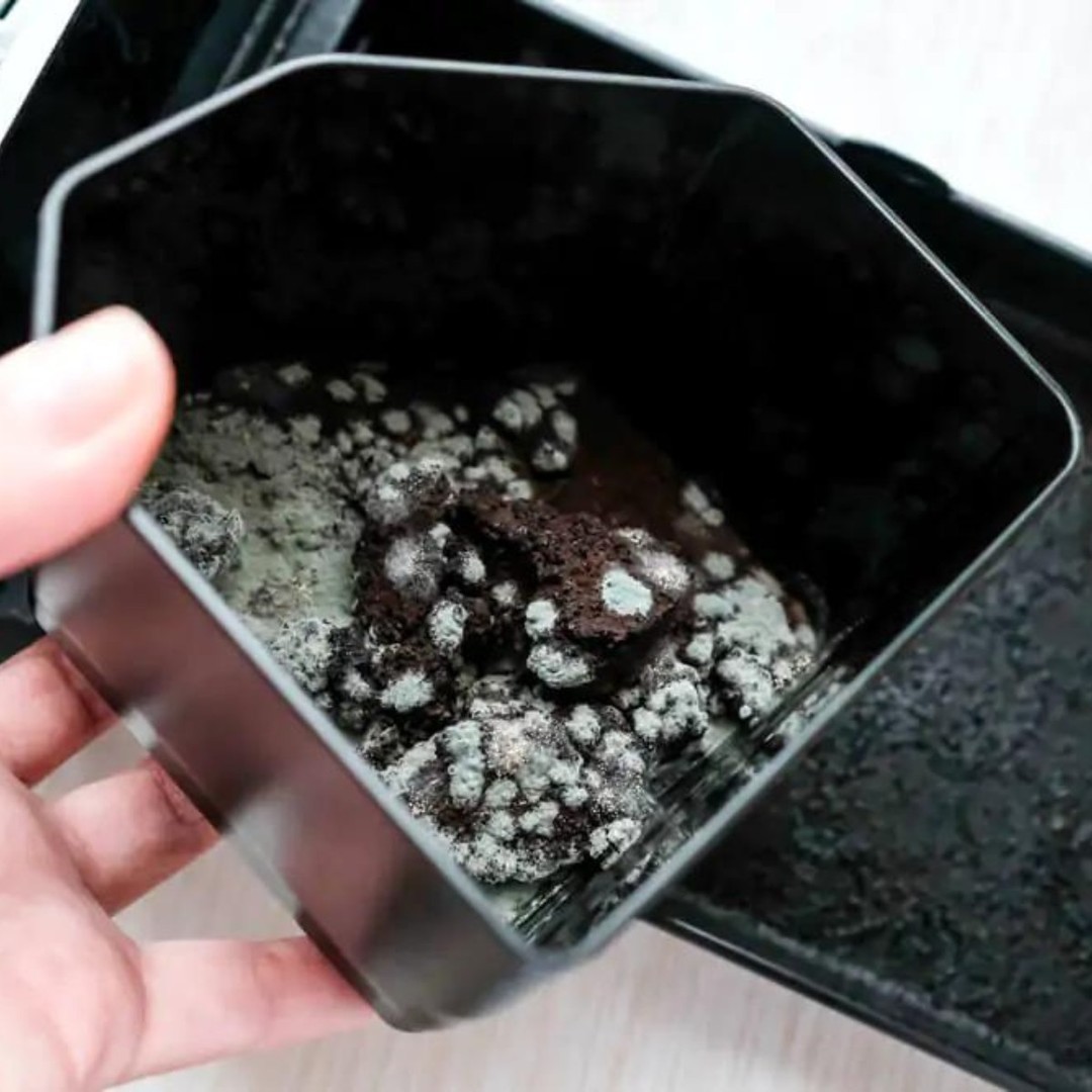 Risques, dates et conseils : tout savoir sur le café périmé