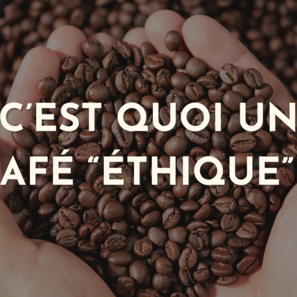 Vocabulaire du café : le glossaire ultime