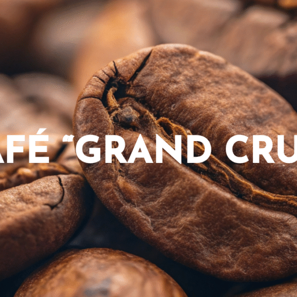 Risques, dates et conseils : tout savoir sur le café périmé